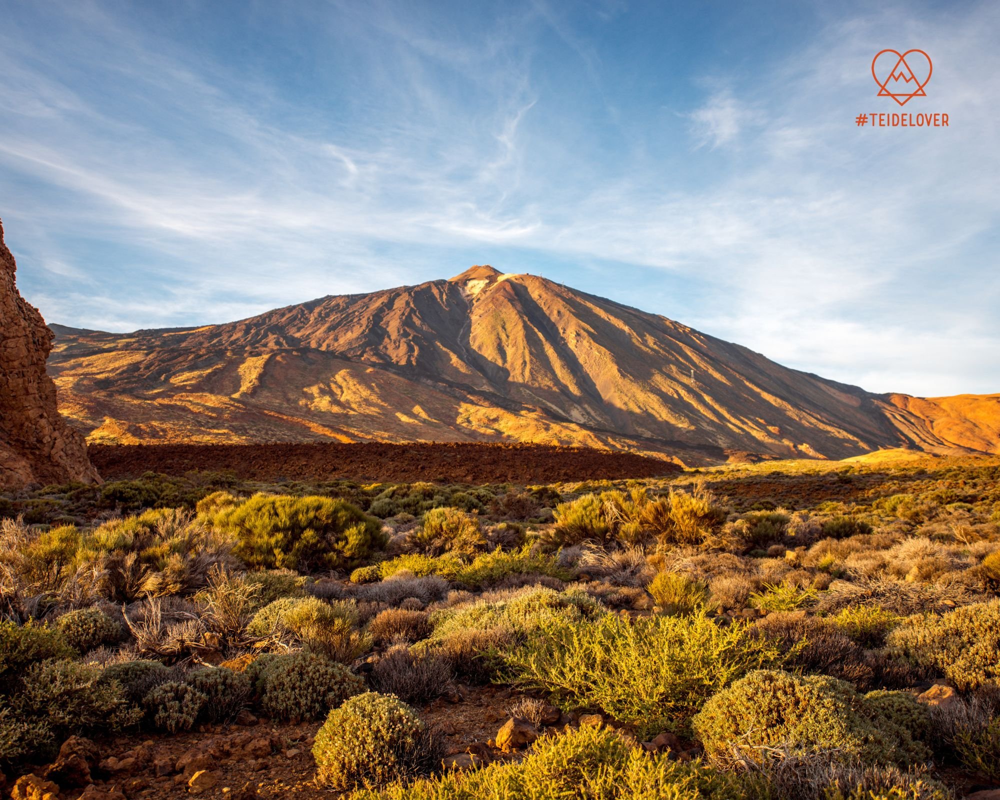 Acciones para conservar la biodiversidad del Teide | Volcano Teide